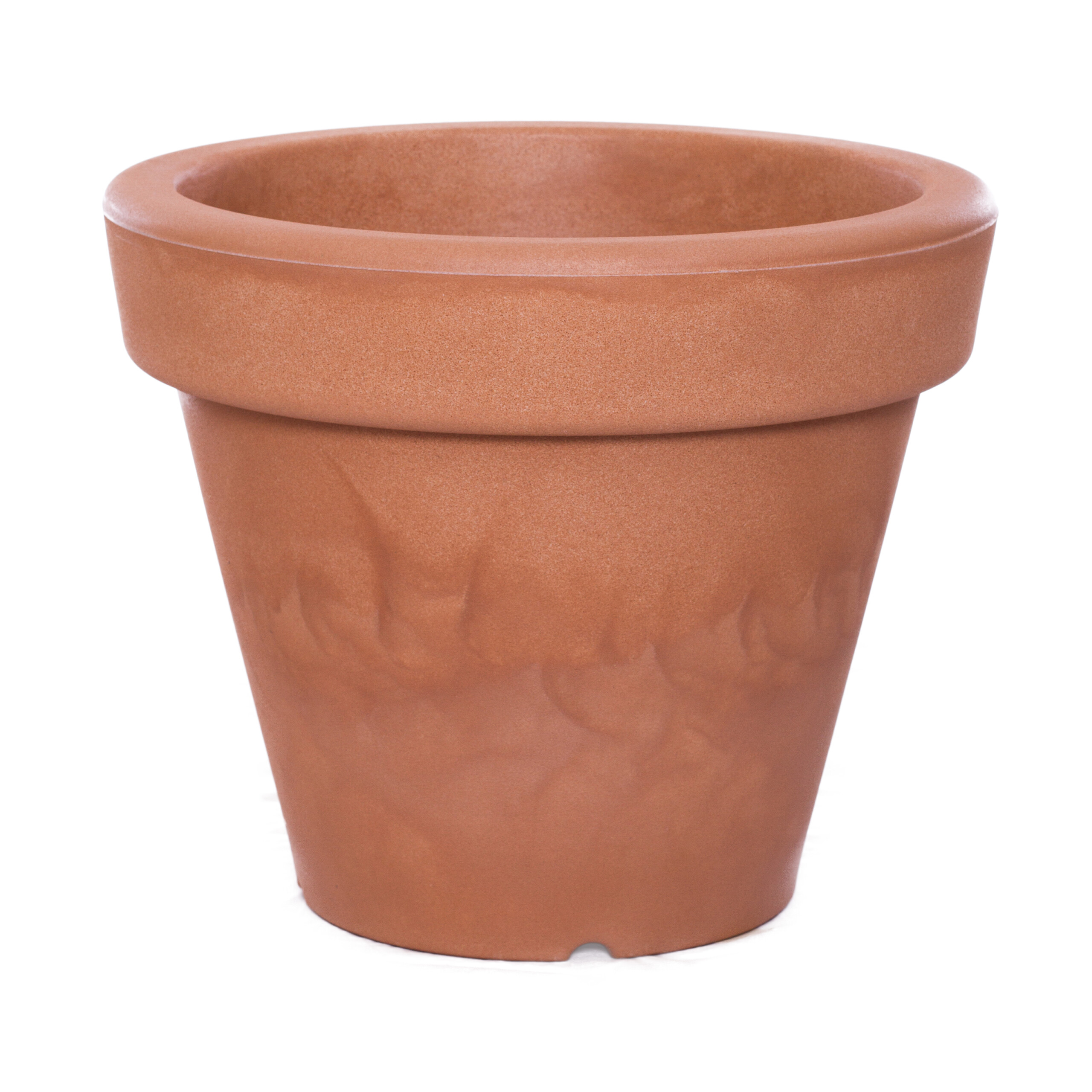 Rhino Jamaica | Products