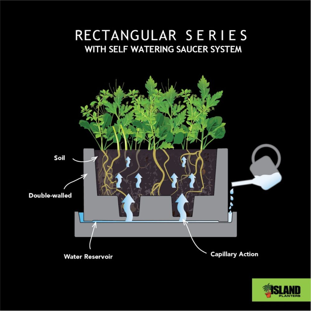 Rhino Jamaica | Products