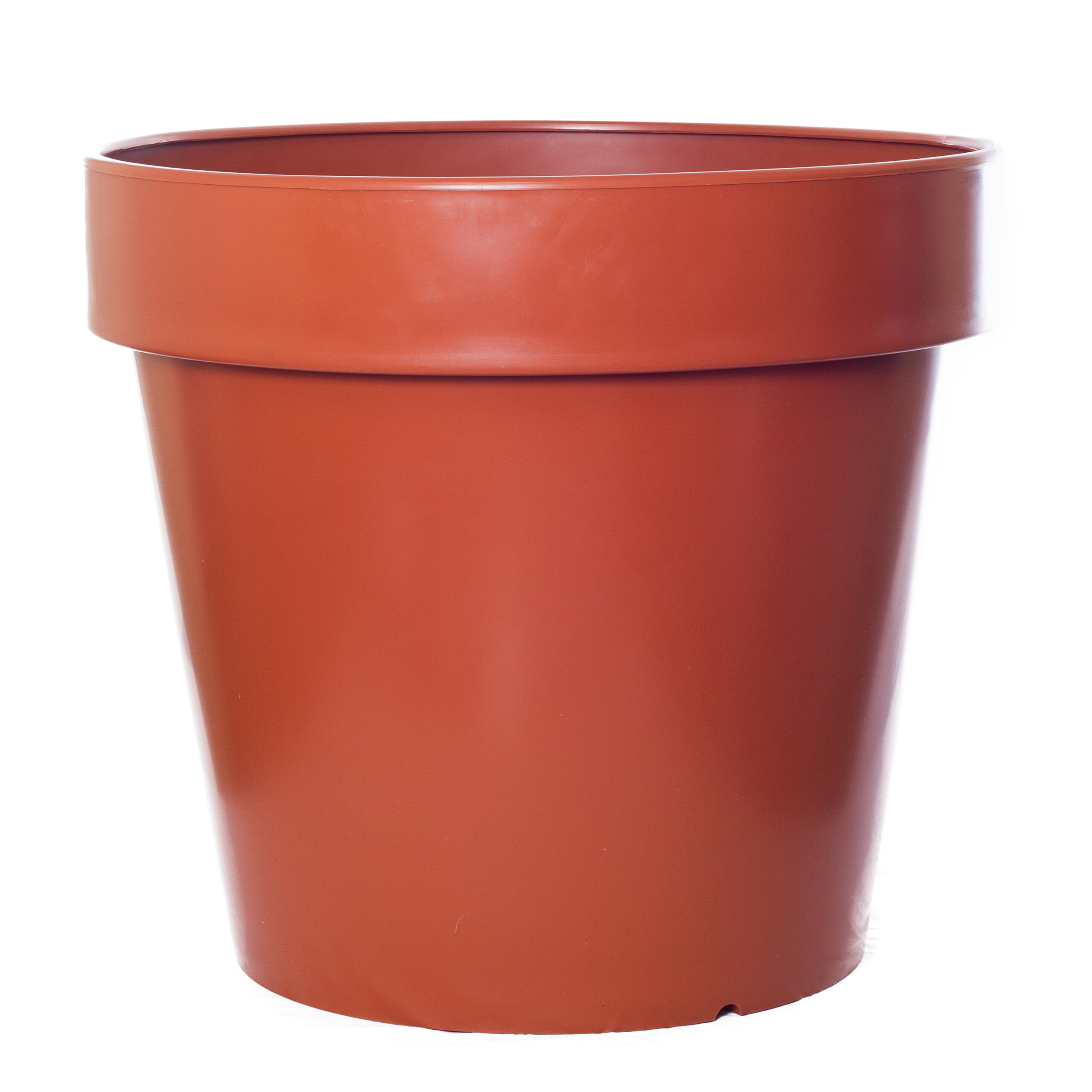 Rhino Jamaica | Products